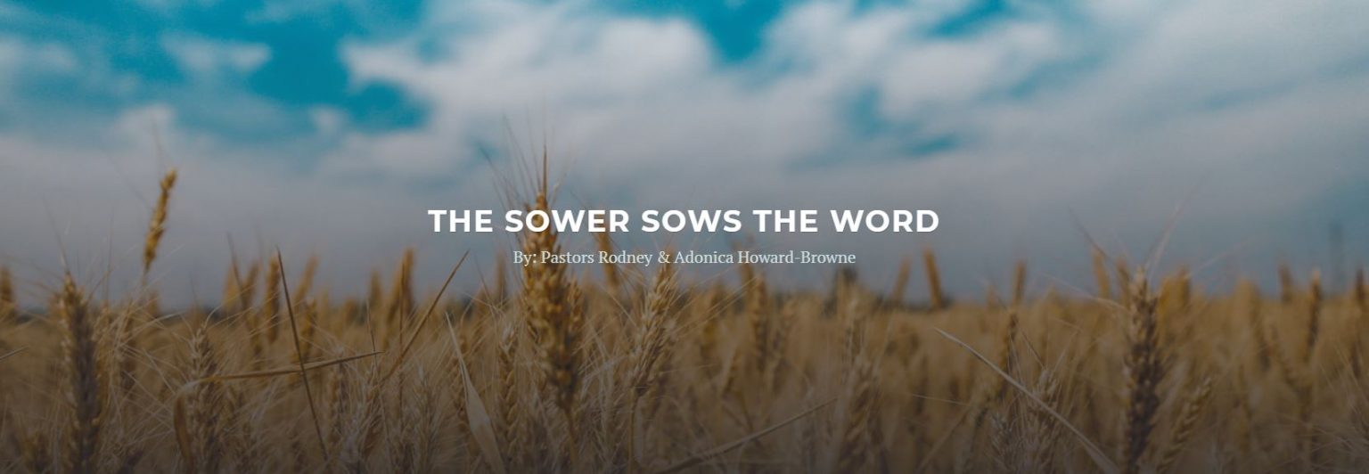 The Sower – Miracle Ministries South Africa